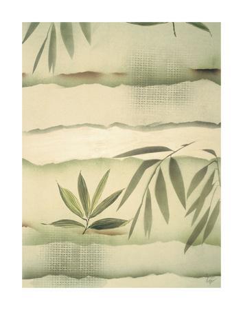 'Vizcaya Ferns I' Art Print - Muriel Verger | Art.com