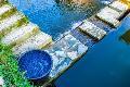 'Guizhou Province, China. Indigo leaves soaking in bowl water. Village ...