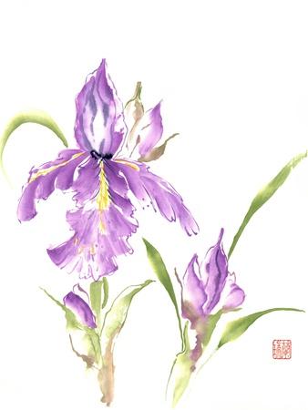 'Circle of Life' Art Print - Nan Rae | Art.com