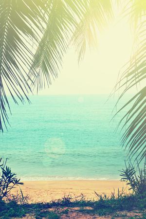 'Tropical Background with Sea Beach and Palm Trees in the Vintage Style ...