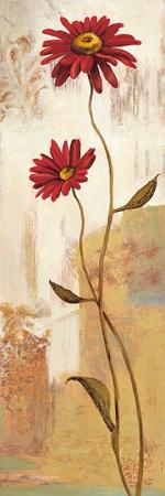 'Panneau marguerite' Art Print - Nathalie Besson | Art.com