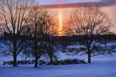 'Historic Philadelphia Colonial America, 1976 (Photo)' Giclee Print ...