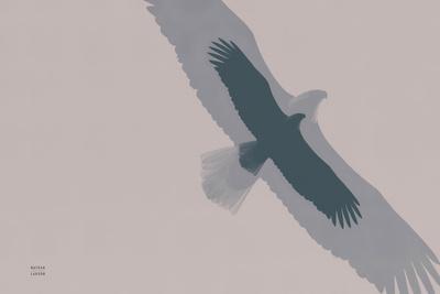 'Double Eagle Flight' Art Print - Nathan Larson | Art.com