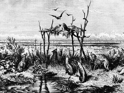 Native American Funeral Customs, C1870 Giclee Print | Art.com