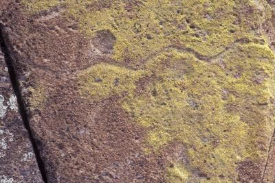 'Native American Petroglyph of a Snake, Tsankawi Mesa Cliff-Dwellings ...