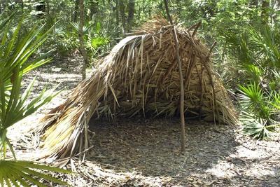 Native Timucuan Shelter of Palm Fronds, Reconstructed at Fort Caroline ...
