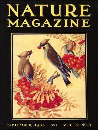 'Nature Magazine Cover, Birds' Art Print | Art.com
