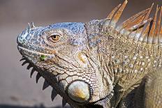 'Turkey, Istanbul, Hagia Sophia; Detail from the Deesis Mosaic ...