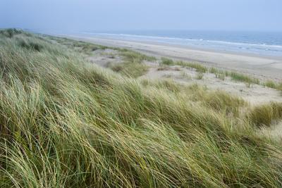 'Curracloe Beach, County Wexford, Leinster, Republic of Ireland (Eire ...