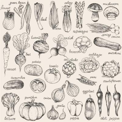 'Hand-Drawn Vegetables' Art Print - Nikiparonak | Art.com