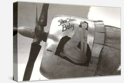 Ww2 Nose Art Tattoos The Nose Art Of The WWII Navy Patrol Bomber