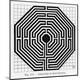 'Octagonal Maze in the Cathedral of Saint-Quentin France' Art Print ...