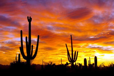 'October Sunset' Photographic Print - Douglas Taylor | Art.com