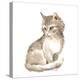 'Cat 1. Gray Fluffy Kitten. Watercolor Painting' Photographic Print ...