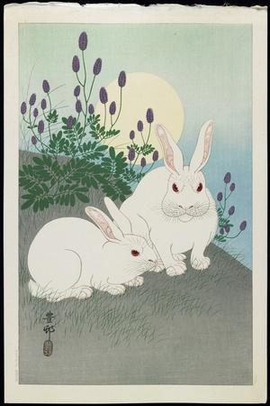 'Two White Rabbits under a Full Moon, 1930S (Colour Woodblock Print ...