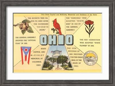 Ohio State Bird Flower And Tree | Best Flower Site