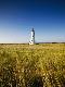 'Great Point Lighthouse' Photographic Print - Onne van der Wal | Art.com