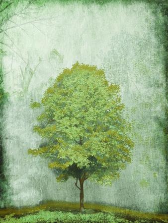 'Green Tree' Art Print - OnRei | Art.com