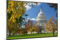 'United States Capitol Building in Washington Dc, during Fall Season ...