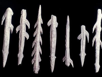 'Paleolithic Harpoons' Photographic Print | Art.com