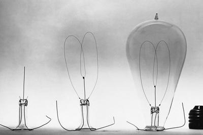 'Parts of Incandescent Light Bulb' Photographic Print | Art.com