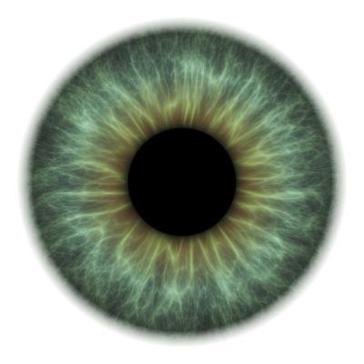 'Eye' Photographic Print - PASIEKA | Art.com