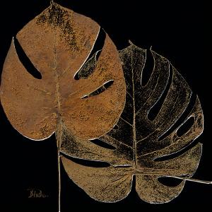 Patricia Pinto artwork for sale, Posters and Prints at Art.com