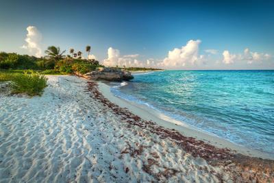 Idyllic Beach of Caribbean Sea in Playacar - Mexico Photographic Print ...