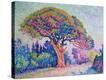 'The Pine Tree at St. Tropez, 1909' Giclee Print - Paul Signac | Art.com