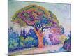 'The Pine Tree at St. Tropez, 1909' Giclee Print - Paul Signac | Art.com