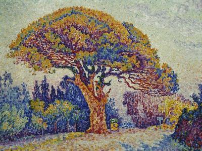 The Pine Tree at St, Tropez, 1909 Giclee Print - Paul Signac | Art.com