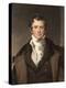 'Sir Humphry Davy Portrait Chemis' Photographic Print - Paul Stewart ...