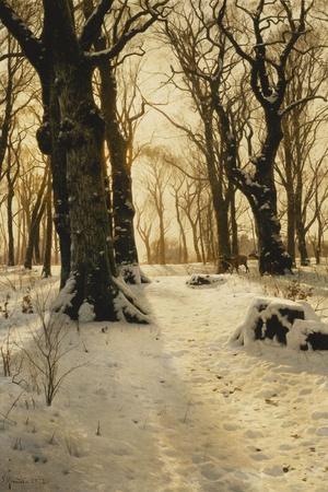 A Wooded Winter Landscape with Deer, 1912 Giclee Print - Peder Mork ...