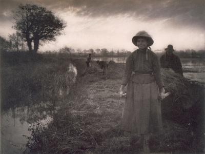 Poling the Marsh Hay, Life and Landscape on the Norfolk Broads, 1886 ...