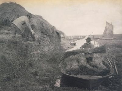 Ricking the Reed, Life and Landscape on the Norfolk Broads, C.1886 ...