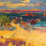 'Sydney Flying Colours, 2012' Giclee Print - Peter Graham | Art.com