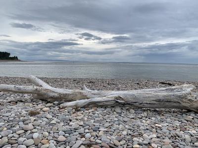 'Pebble Beach' Photographic Print - Phil Webb | Art.com