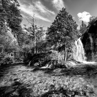 Fall Pictures Black And White