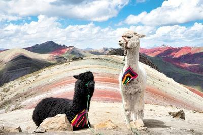 'Colors of Peru - Black and White' Photographic Print - Philippe ...