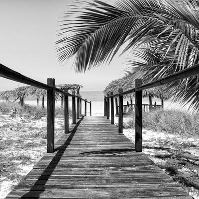 Black And White Beach Landscape