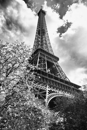 The Eiffel Tower Black And White