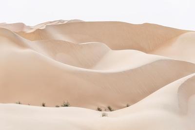 'Wild Sand Dunes - Almond Desert' Photographic Print - Philippe ...