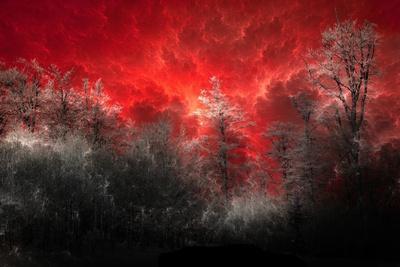 'Hot and Cold' Photographic Print - Philippe Sainte-Laudy | Art.com