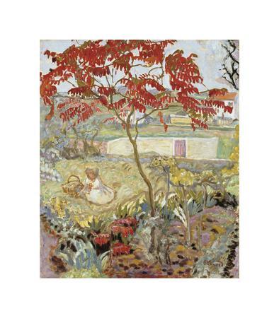 'Garden with Red Tree' Premium Giclee Print - Pierre Bonnard | Art.com