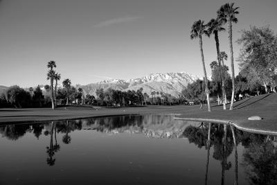 Pond in a golf course, Desert Princess Country Club, Palm Springs ...