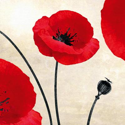 'Poppy Dawn' Giclee Print - James Worthington | Art.com