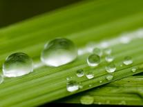 'Buddha Statues, Ayuthaya, Thailand, Southeast Asia' Photographic Print ...