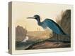 'Blue Crane or Heron Plate 307' Giclee Print - Porter Design | Art.com