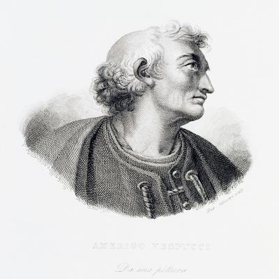 Portrait of Amerigo Vespucci Giclee Print | Art.com