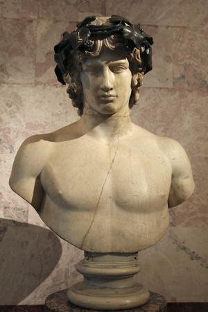'Portrait of Antinous, Mid 2nd Century' Photographic Print | Art.com